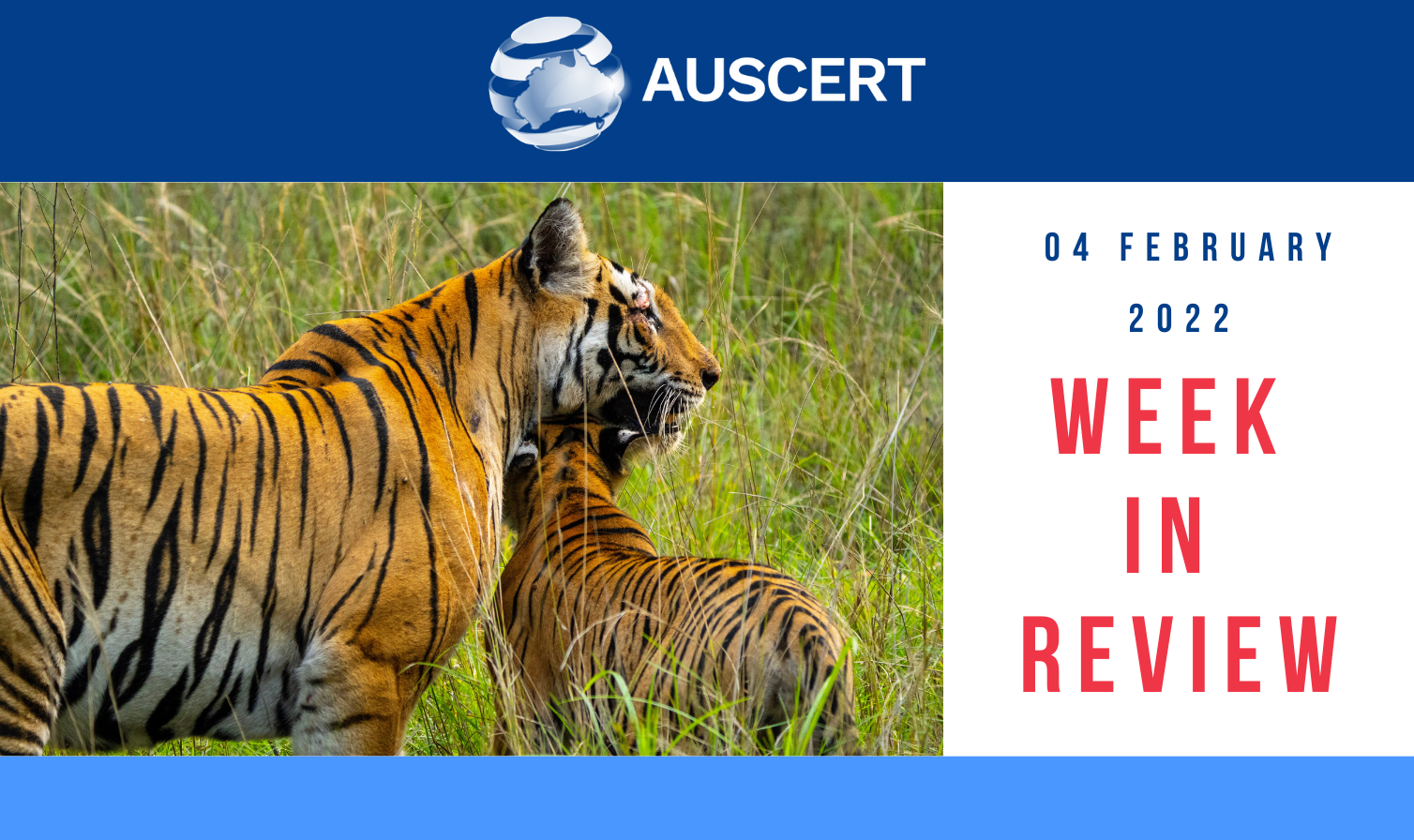 AUSCERT Week in Review for 4th February 2022 - AUSCERT